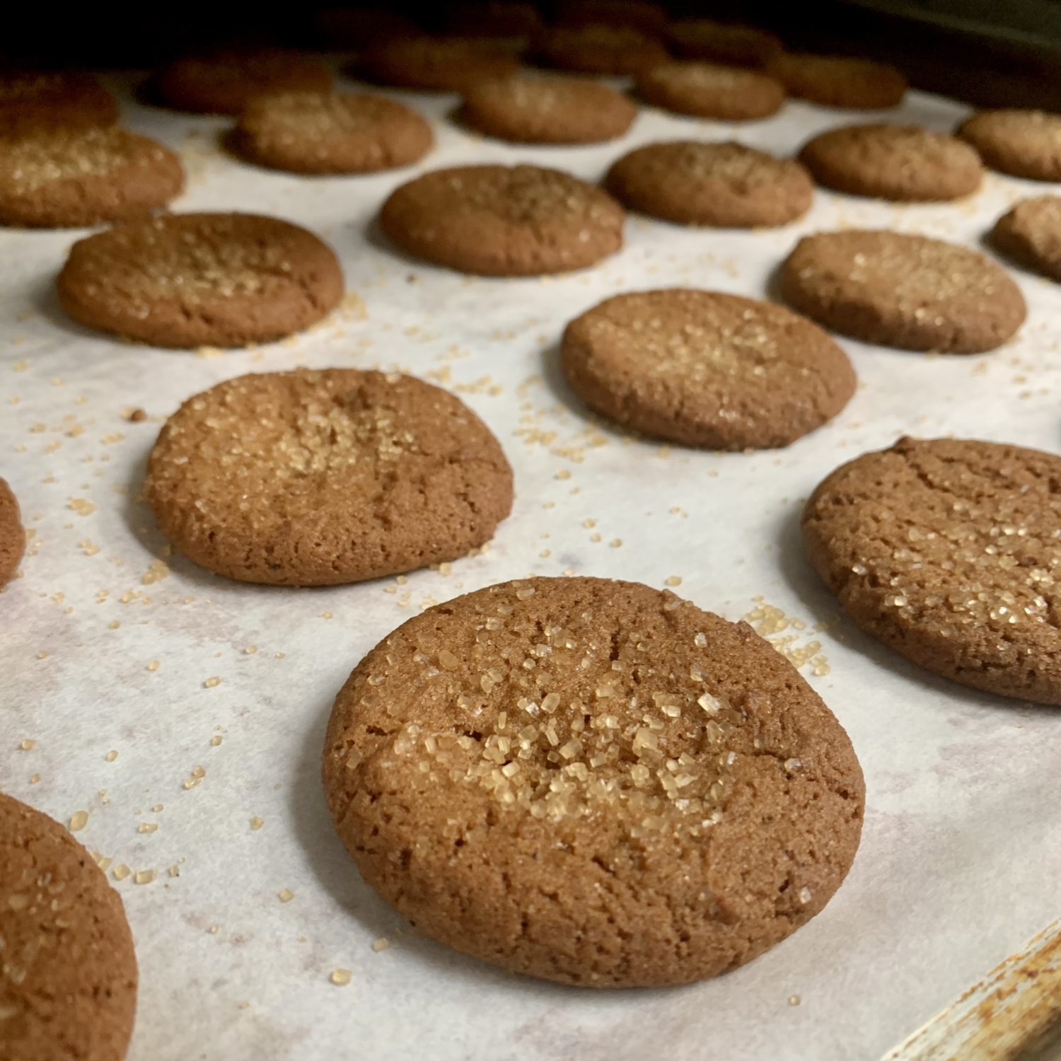 Christmas Grand Gift Box - 60 gingersnaps - Susansnaps